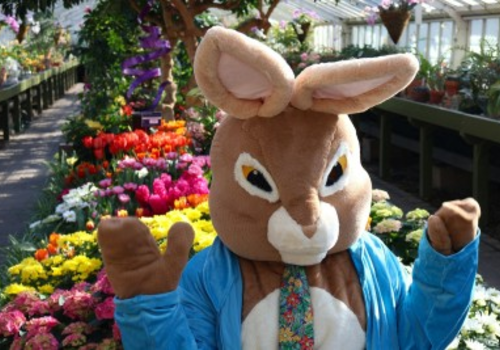 Botanical Bunny Days at the Botanical Gardens | Sat Mar 28th, 2026 → ...